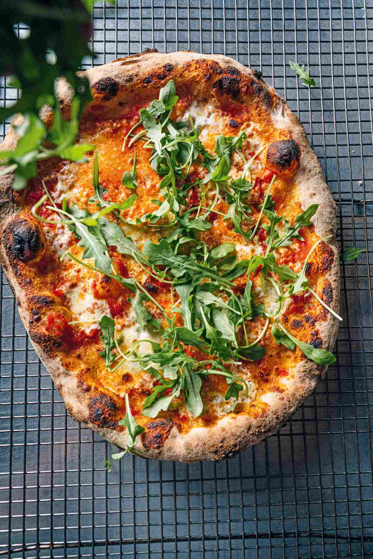 Razza Chef Dan Richer's Panna Pizza — Ooni USA