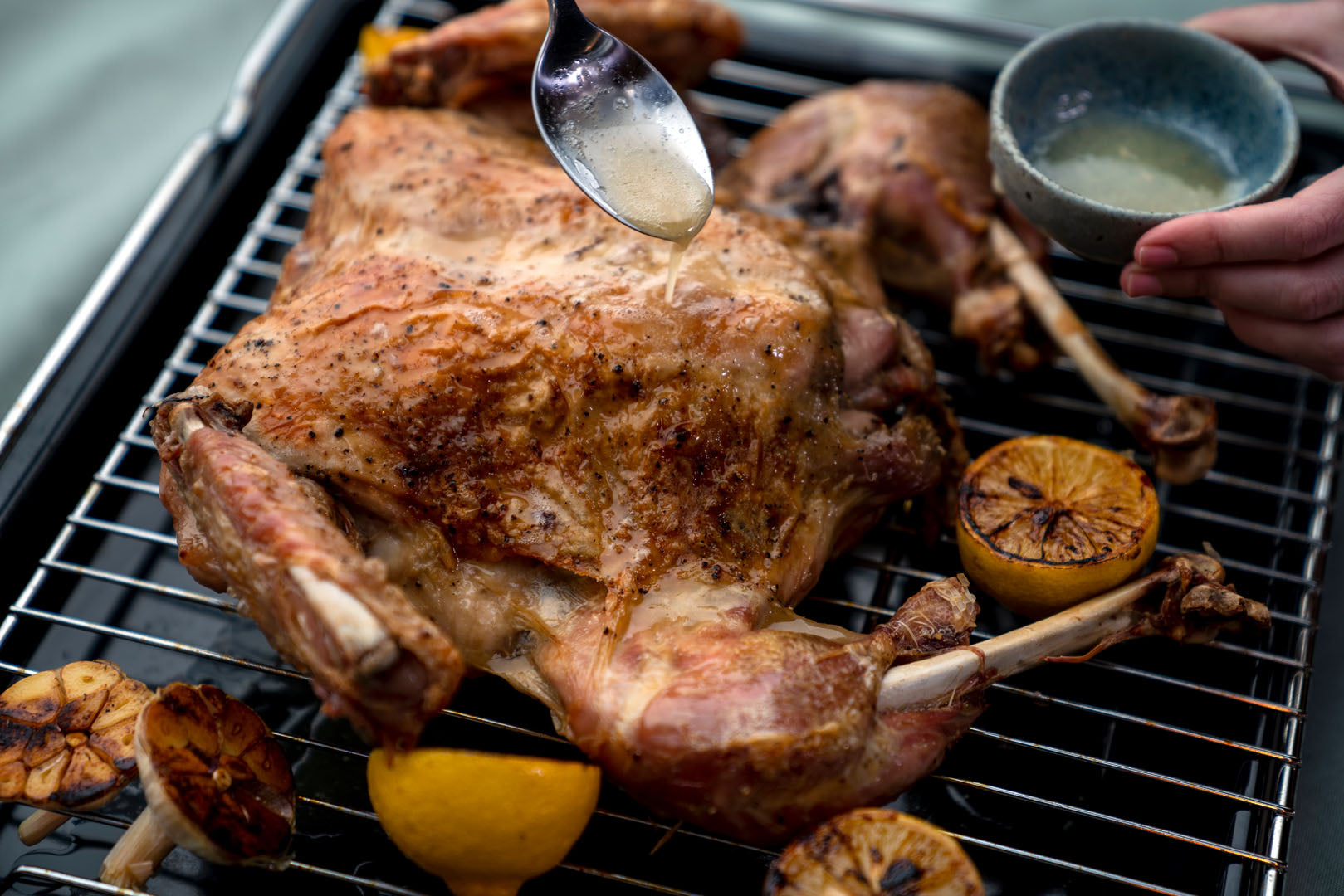 Inspiring Thanksgiving Recipes — Ooni USA